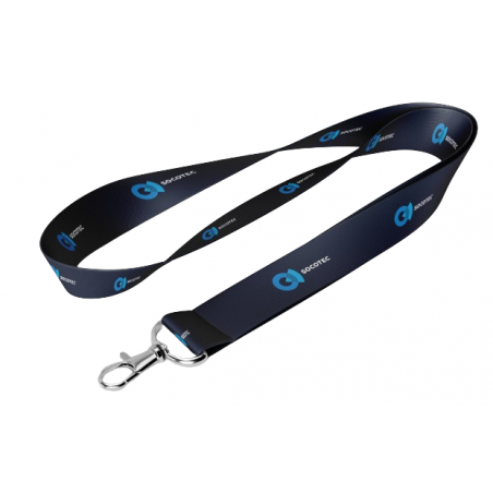 Lanyard